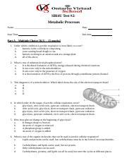 SBI U Test V Docx SBI U Test Metabolic Processes Name Date Start Time End