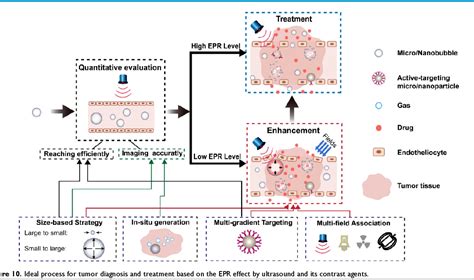 Figure 1 From Micronano Bubble Assisted Ultrasound To Enhance The Epr Effect And Potential