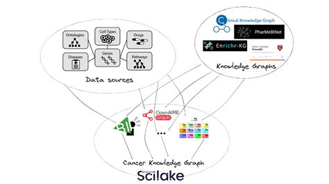 Unlocking Insights In Cancer Research Through Knowledge Graphs Scilake