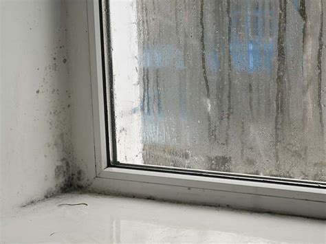 Window Seal Failure Signs To Look For Renewal By Andersen Of Kansas City