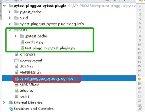 【pytest官方文档】解读 开发可pip安装的第三方插件pytester Csdn博客