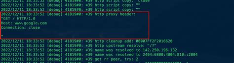 Forward Proxy Vs Reverse Proxy Viblo