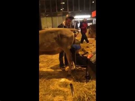 Novinha Se Cagando Toda Youtube