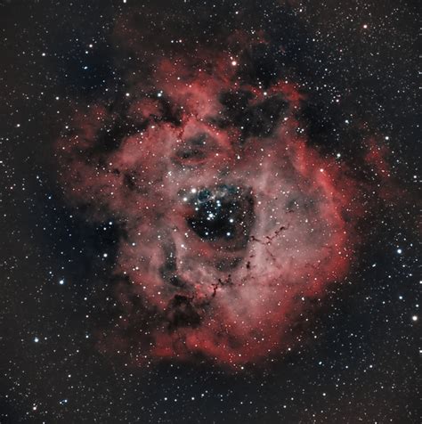 Rosette Nebula Astrobin