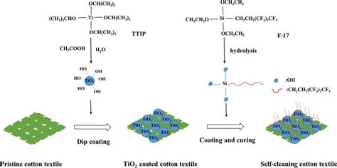 Schematic Route Of The Preparation Of Modified Textile Download