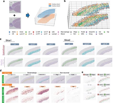 SpatialScope Enables The Integration Of Multiple Slices And Download Scientific Diagram