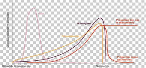 Line Angle Diagram PNG Clipart Angle Area Diagram Line Text Free PNG Download