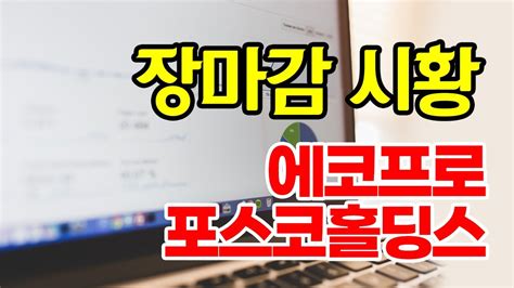 에코프로 포스코홀딩스 분석 장마감 시황 정리 Youtube