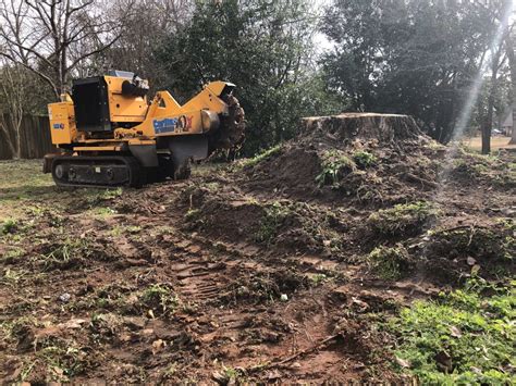 Tree Root Grinding And Removal Services Montgomery Al