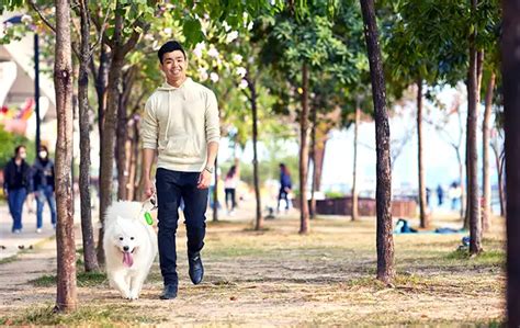 Sdet Qa Automation Backend Python Bdd Assistant Vice President Citi Careers