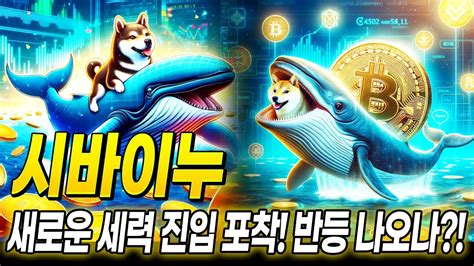 코인추천 시바이누 새로운 세력 진입 포착 반등 나오나 Youtube