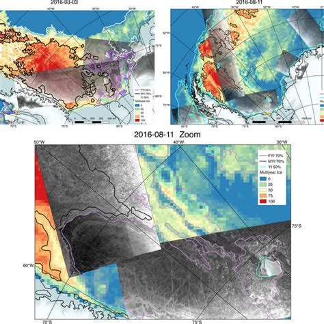 Sentinel SAR Images Grey Shading Acquired On March And August Download Scientific