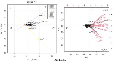 principal component analysis pca scores plot a and loading plot