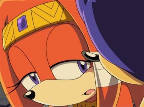 Pin By Hernan Tobar On Tikal The Echidna Sonic Tikal Sonic Art Sonic