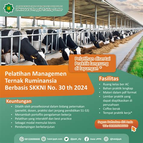 Pelatihan Manajemen Ternak Ruminansia Berbasis Skkni No 30 Th 2024 Jamiah Pengkajian Dan