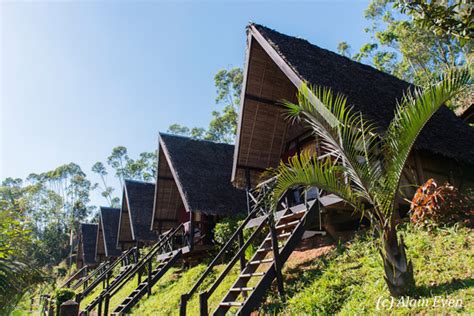 Hotel Feon Ny Ala Autograph Safaris