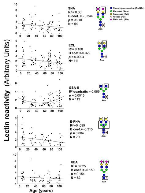 Lectin Blot Analysis Of Igg Glycosylation Diluted Plasma Samples Were