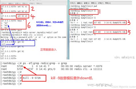 Redisrdb概述及作用、自动触发、手动触发、优势劣势、触发场景、配置项详解redis 动态配置rdb 存储 Csdn博客