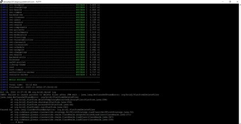 Maven Sometimes Fails With Erroneous Exception Failed To Launch Process To Delete Files After