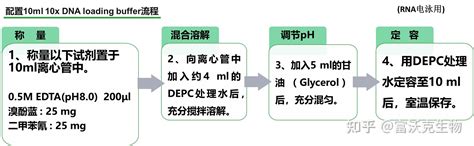 6x 与 10x Dna Loading Buffer浓度之变如何改写实验大格局？ 知乎