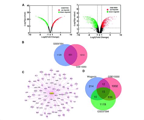 Potential Target Of Wogonin To Enhance Gemcitabine Sensitivity Download Scientific Diagram