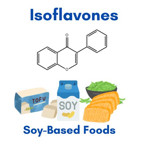 Flavonoid Foods Slow Biological And Skin Aging Andy The Rd