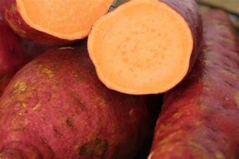 高光谱成像仪摆扫式和推扫式各自有什么优缺点？ 广东赛斯拜克厂家