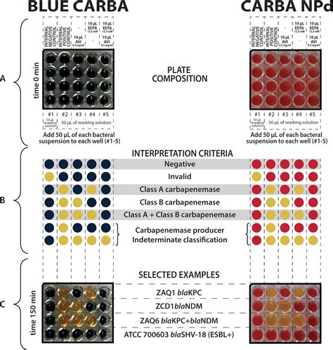 Improved Blue Carba Test And Carba Np Test For Detection And Classification Of Major Class A And