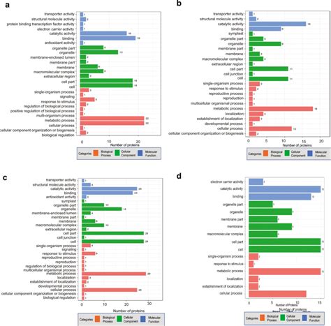 Functional Categories Based On Go Annotations For Upregulated Deps In