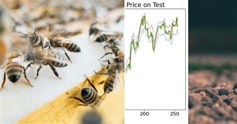List Time Series Forecasting Curated By Rodrigo Escoto Medium