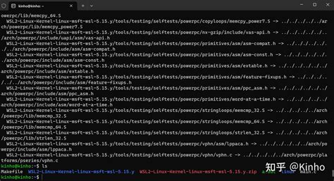 Wsl2连接usb存储设备（保姆级教程，真正做到你奶奶来了也能成功） 知乎