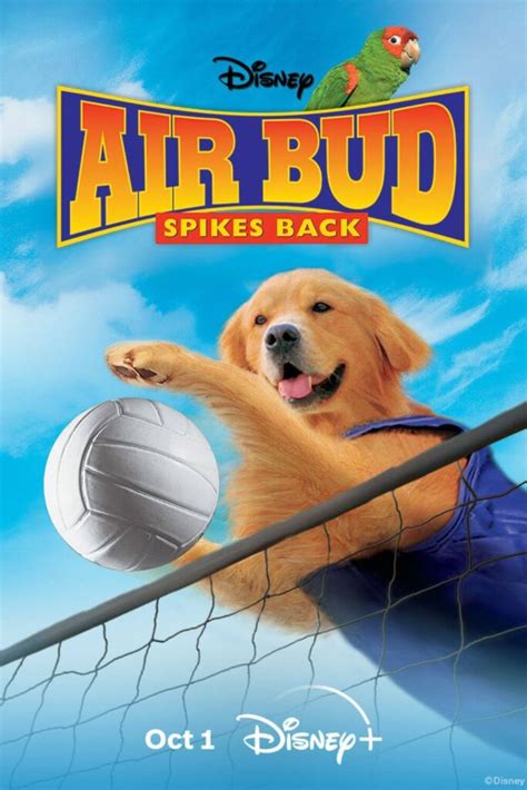 22 Best Sports Movies On Disney Plus For Non Game Days