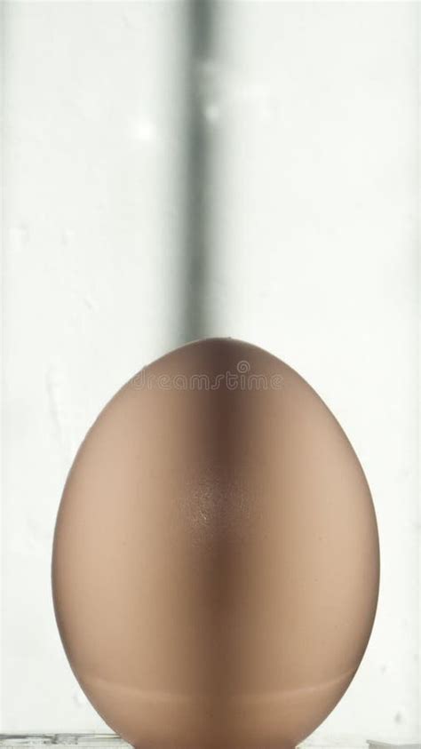 Fake Egg With A Vertical Shadow Dividing It In Half Stock Image Image