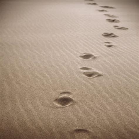 Srinivas H On Linkedin Microsoft Edge Tips