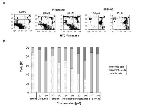 Apoptosis Or Necrosis Annexin V Fitc Pi Double Staining Of Hela Cells