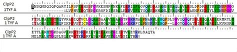 Clustalw Alignment Of Clpp2 Of Mycobacterium Tuberculosis With 1tyf