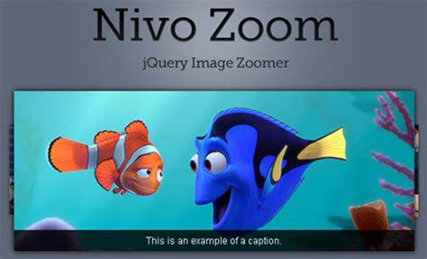 10 Must Have Jquery Plugins For Developers To Create Magnificent Effects On Images