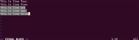 How To Copy Cut And Paste In Vim