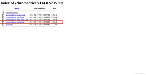 Chromedriver驱动的下载和安装！亲测有效！chromedriver下载地址 Csdn博客