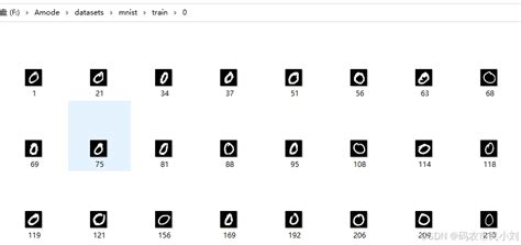 Pytorch：加载图像数据集的方法pytorch加载自己的图像数据集 Csdn博客
