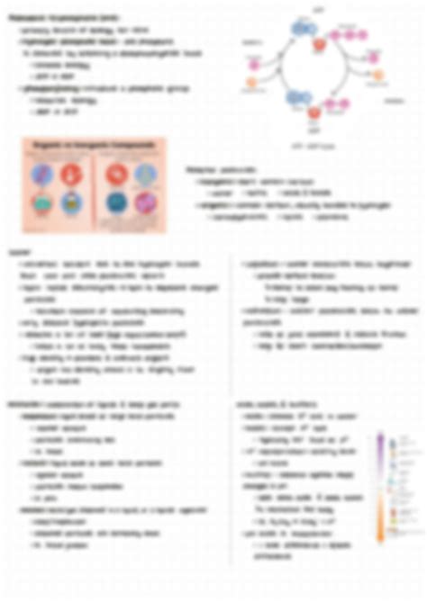 SOLUTION Anatomy And Physiology Biochem Basics Lecture Notes Studypool