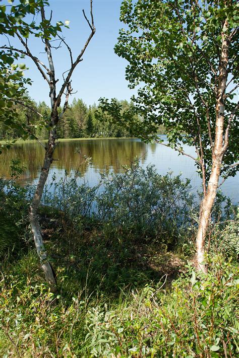 Yli Kitka Wikipedia Wolna Encyklopedia