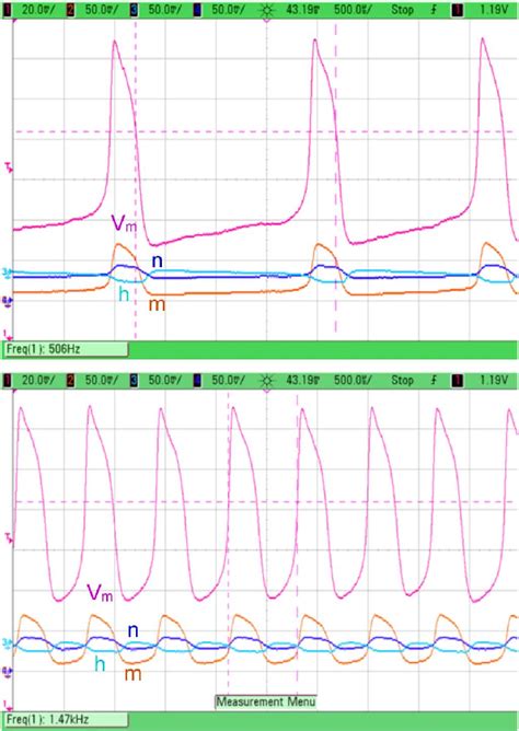 Figure 12 From Analog Vlsi Biophysical Neurons And Synapses With