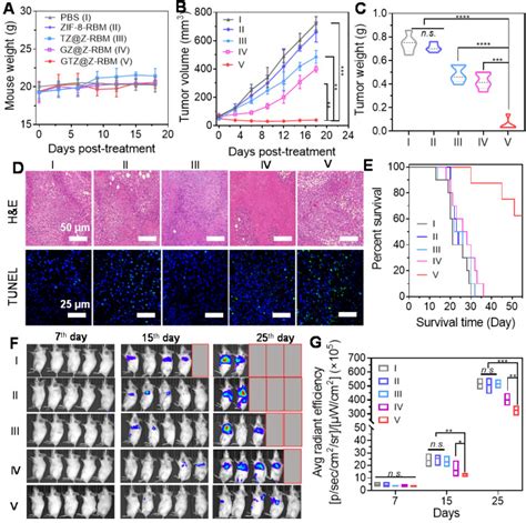 Rational Design Of Non Toxic Gox Based Biocatalytic Nanoreactor For