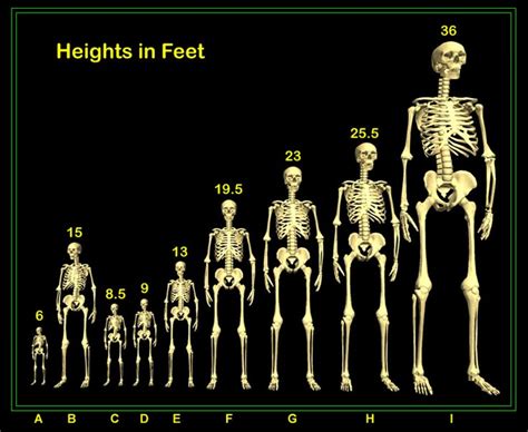 Ancient Biblical Giants