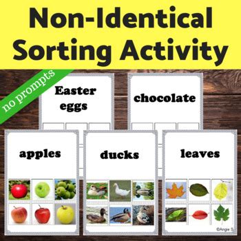 Non Identical Matching Activity For Non Verbal Babes With Autism