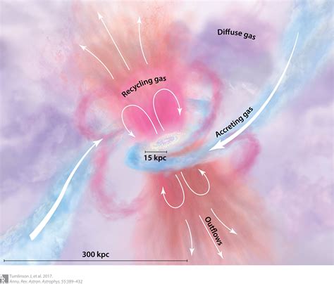 Fueling Or Starving The Role Of Gas Flows In Early Galaxy Evolution
