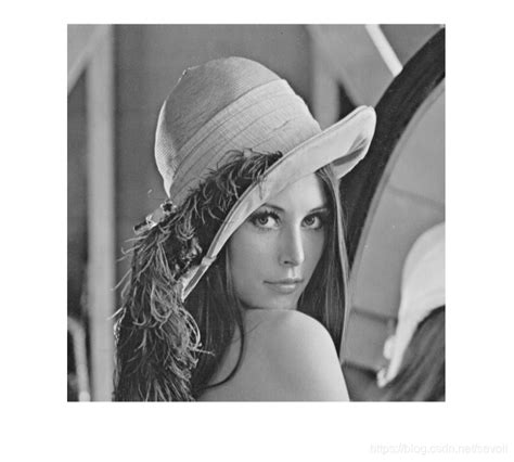 Matlab图像处理lena大作业lenna512colorbmp图像处理csdn Csdn博客