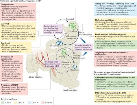 Identifying Common Issues And Their Root Causes In Hosting And Dbs