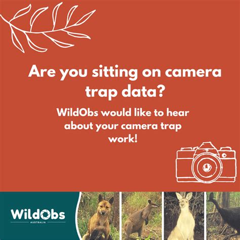 Are You Sitting On Camera Trap Data Atlas Of Living Australia
